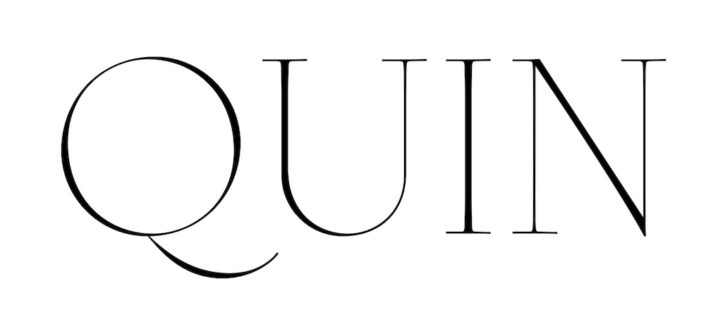 Quin Erfahrungsbericht: Die Finanzsoftware im Test - Cashflow-Tagebuch